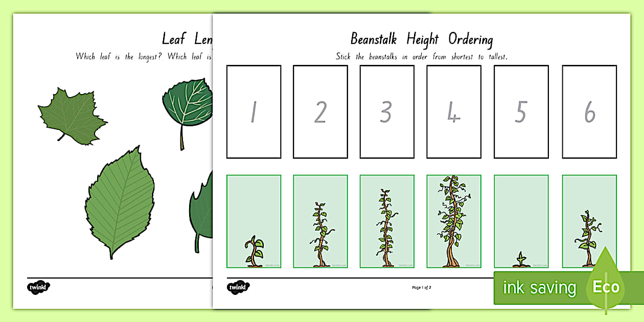 Black and White Beanstalk Height and Length Ordering Worksheets