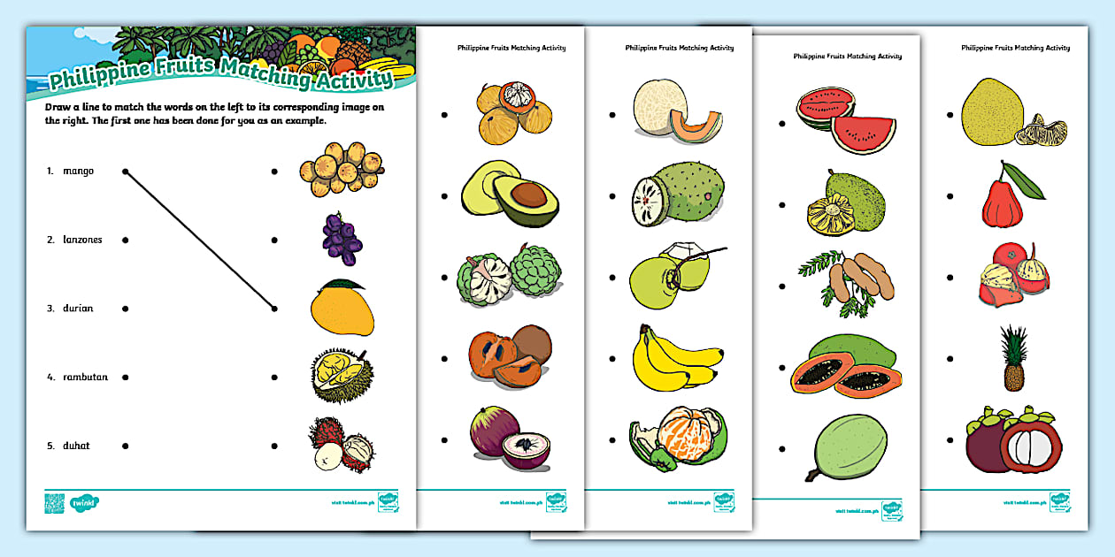 Philippine Fruits Matching Activity | Kinder - Grade 1 | Twinkl