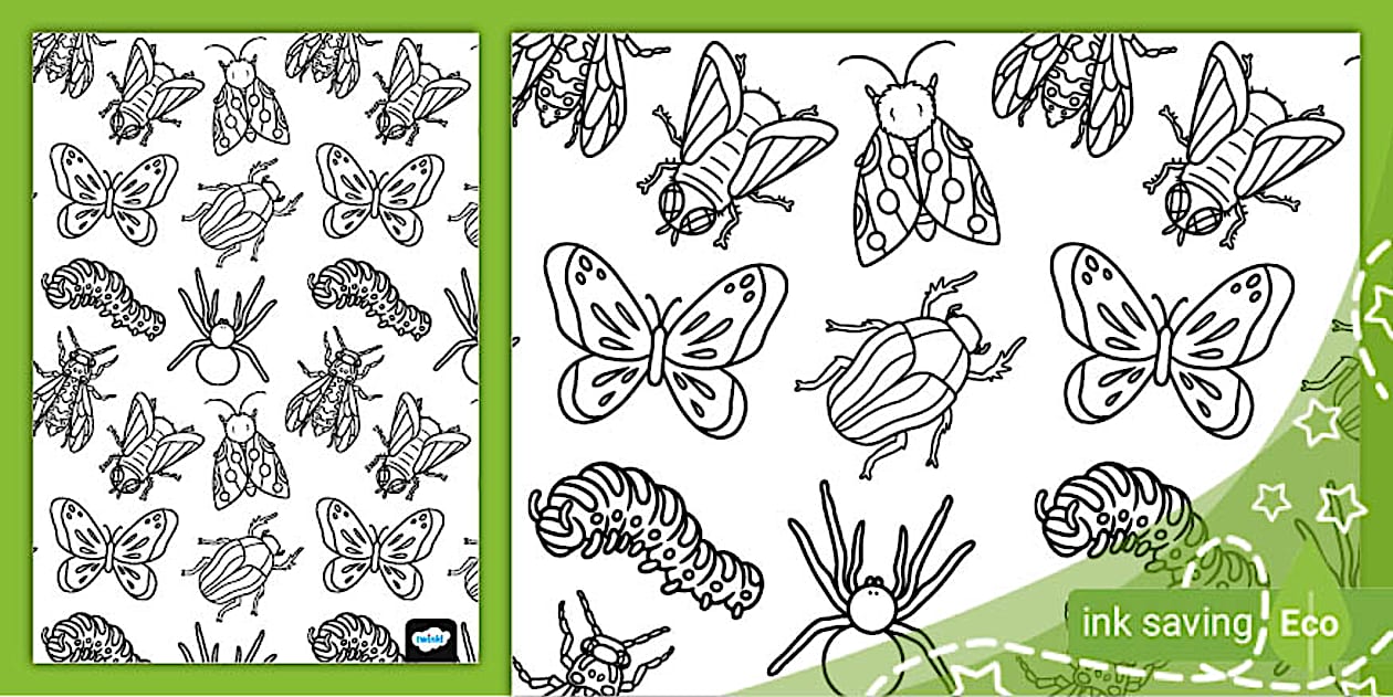 Minibeasts Doodle Colouring Page (teacher made) - Twinkl