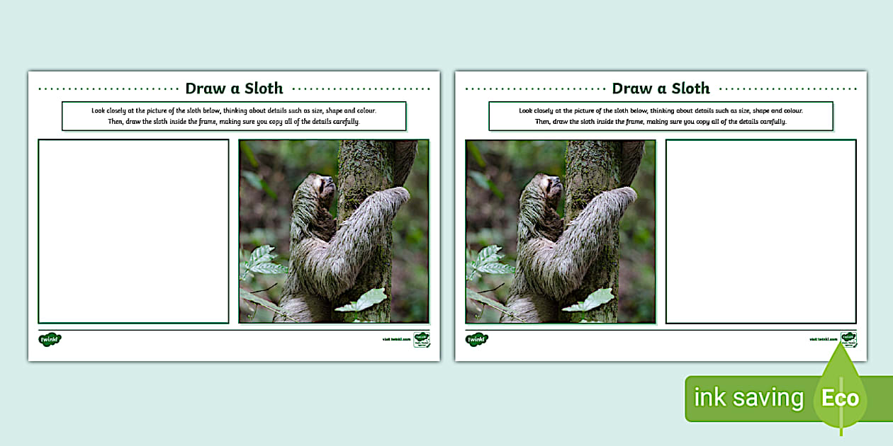 Draw a Sloth Art Activity,sloth (professor feito) - Twinkl