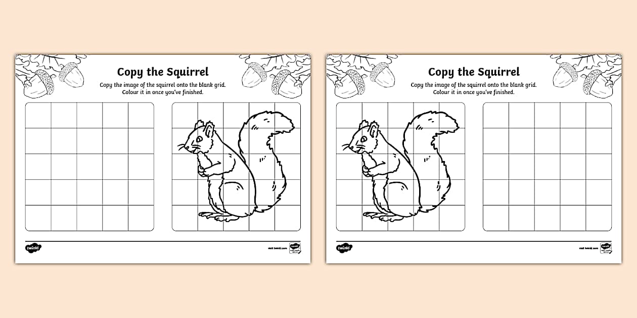 Copy the Squirrel Worksheet (teacher made) - Twinkl