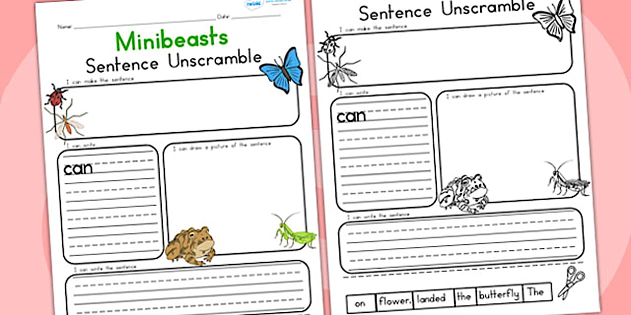 Black and White Minibeast Sentence Unscramble (teacher made)