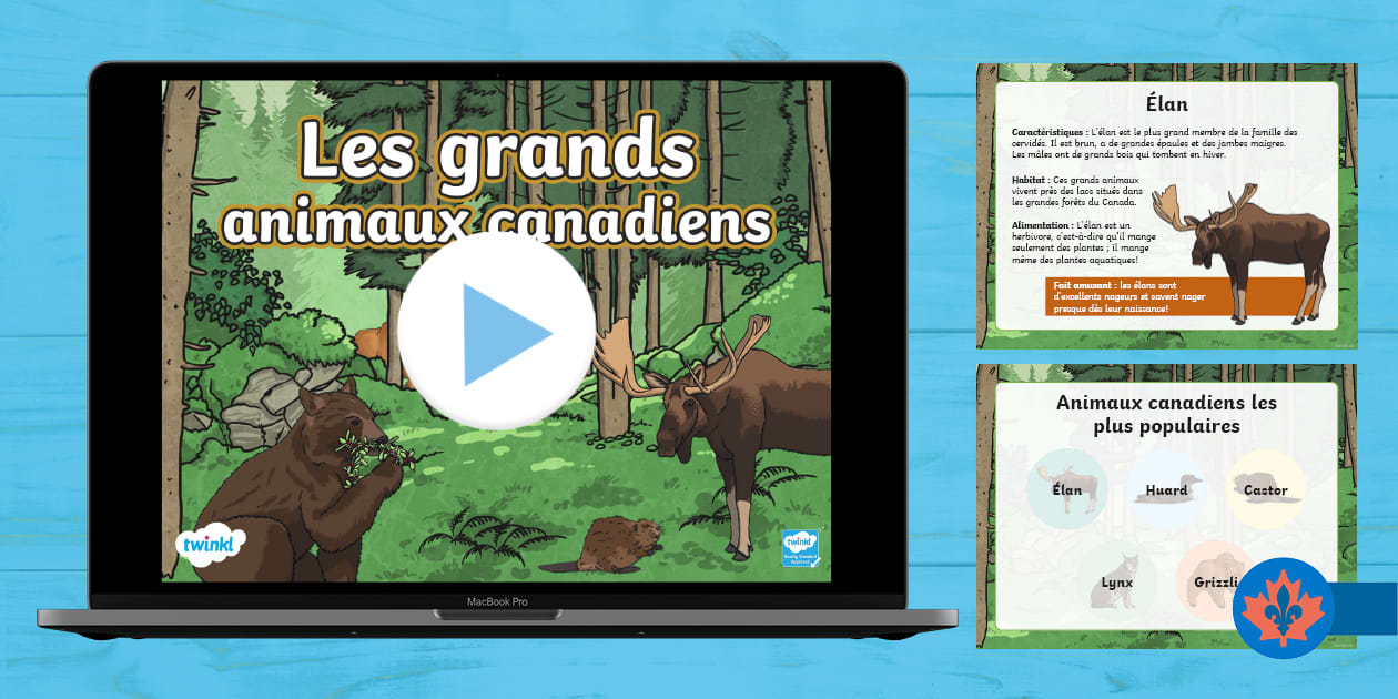 Great Canadian Animals PowerPoint French - Twinkl