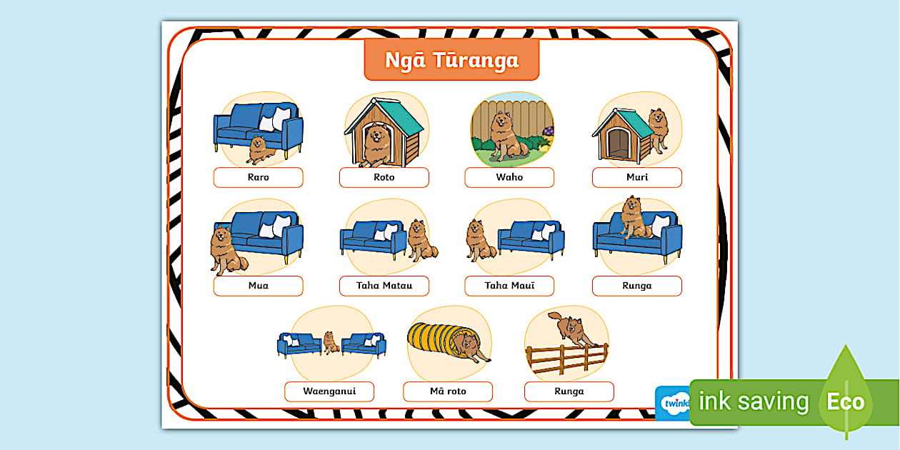 Māori Positions-Kaari tohutohu (Hecho por educadores)