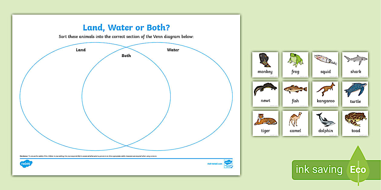 Land, Water or Both Animals Sorting Activity (teacher made)
