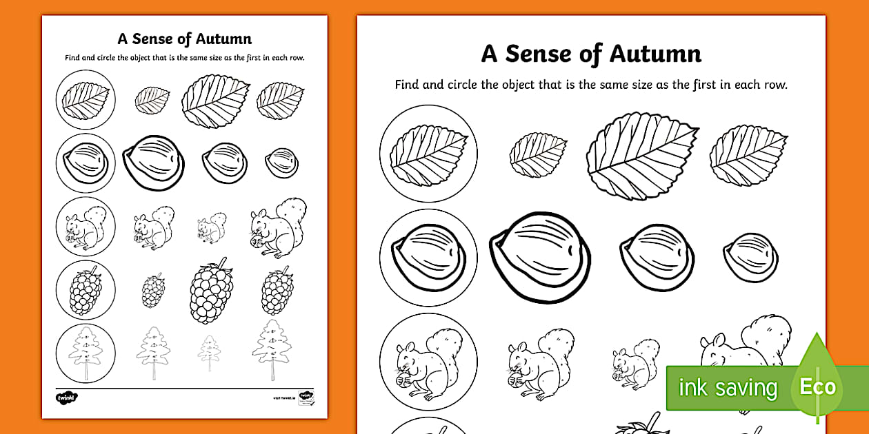 A Sense of Autumn Circle the Correct One Worksheet - Twinkl