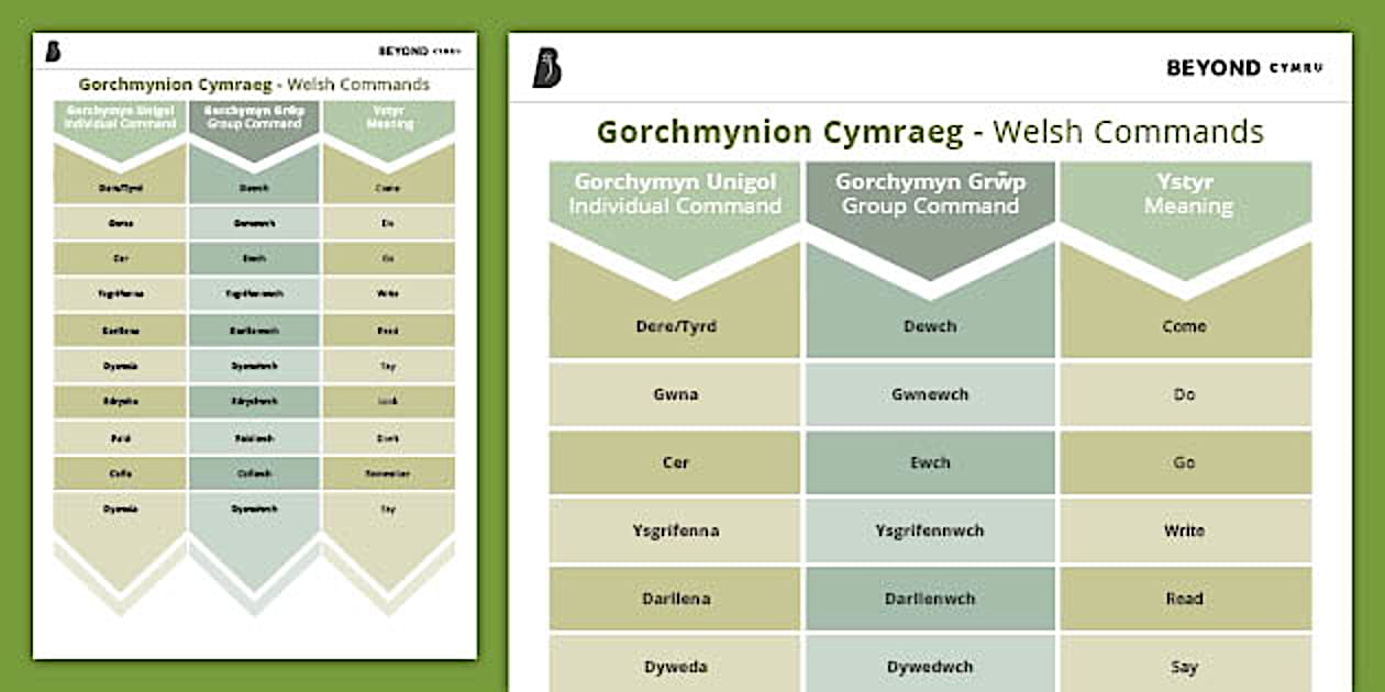 Learn Welsh: Poster Gorchmynion Cymraeg / Welsh Commands Poster