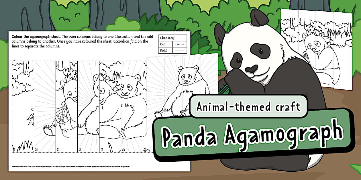 Foundation Phase Life Skills - Panda - Agamograph