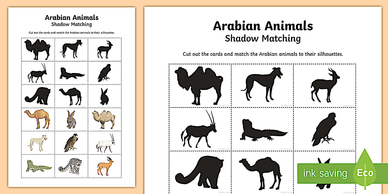 Arabian Animals Silhouette Matching Cards (teacher made)