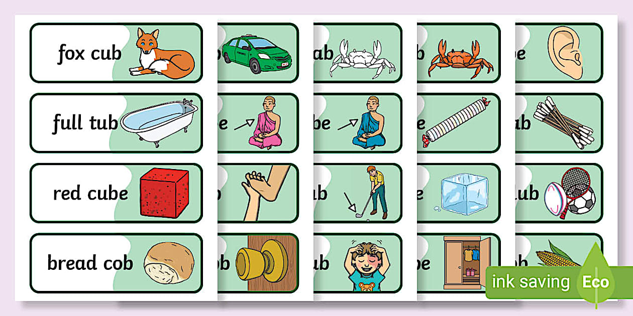 Two Syllable Final B Sound Word Cards (teacher made)