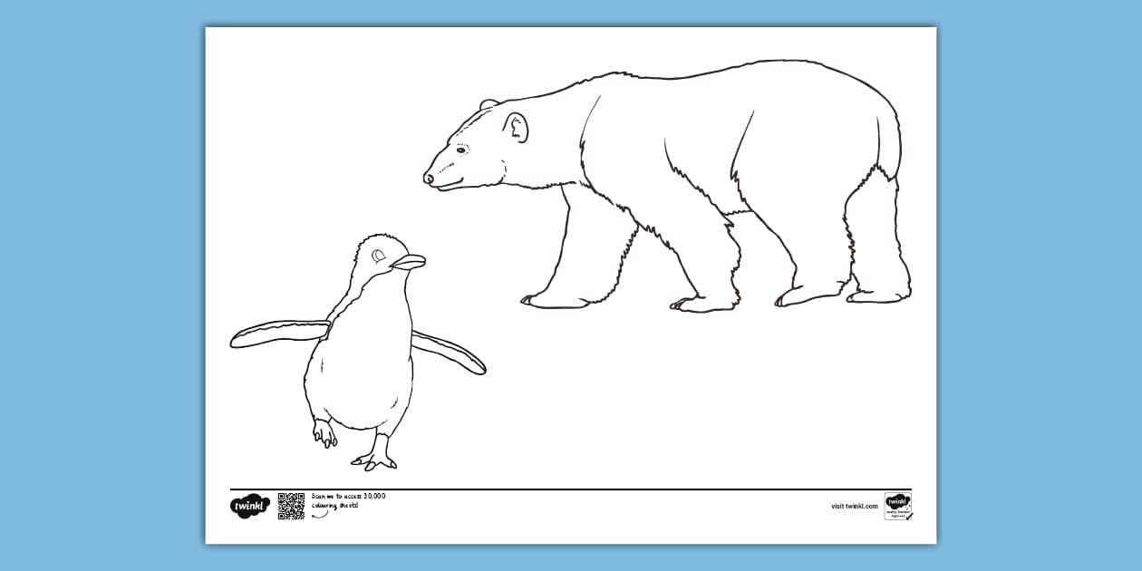 Arctic Animals Colouring Sheet | Colouring Sheets - Twinkl