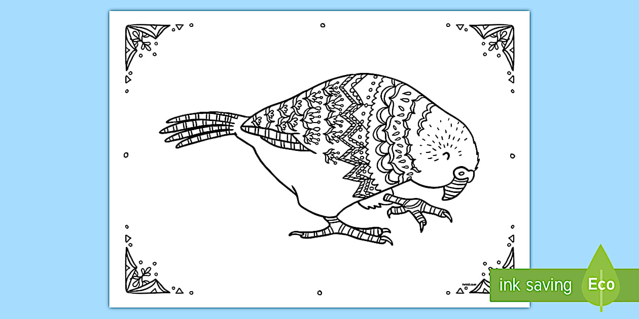Kakapo Mindfulness Colouring Page - Twinkl