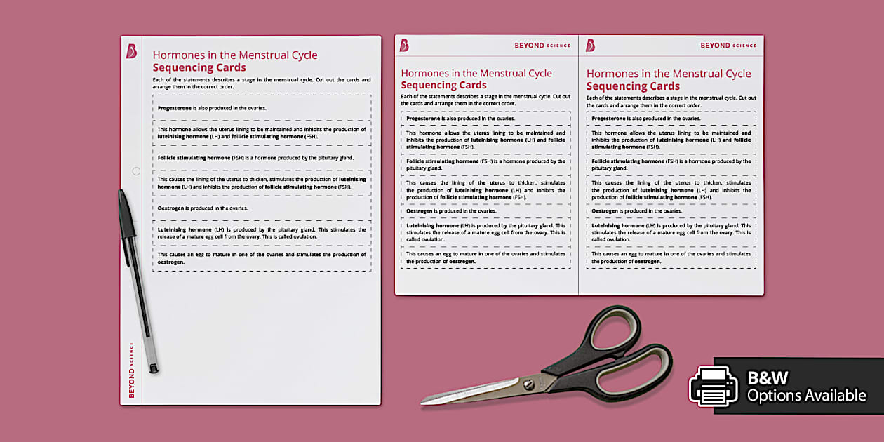 Menstrual Cycle Hormones Sequencing Cards (teacher made)