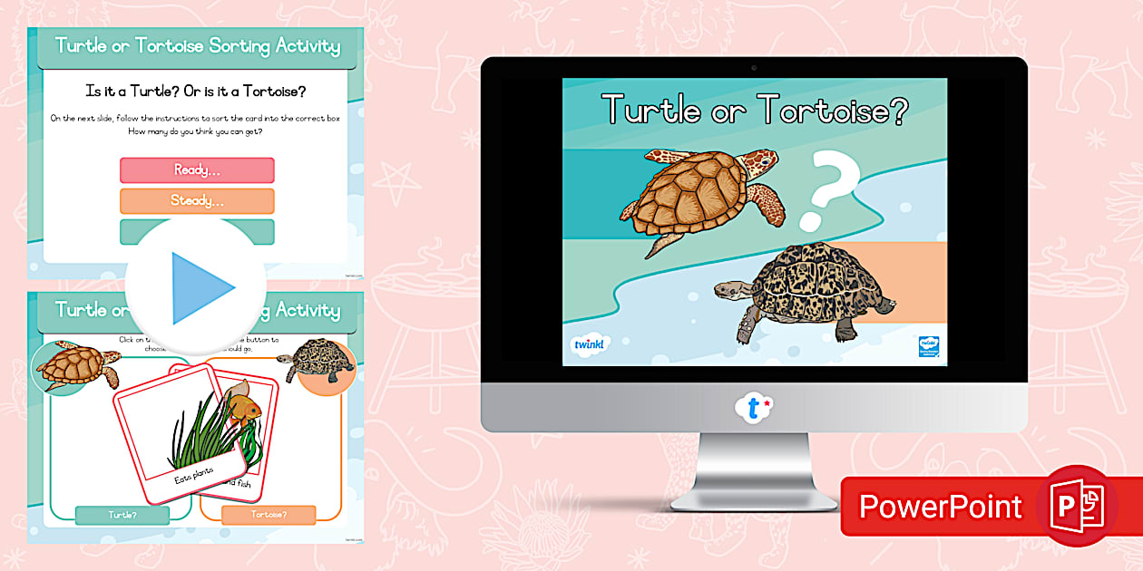 Comparing Turtles and Tortoises (teacher made) - Twinkl