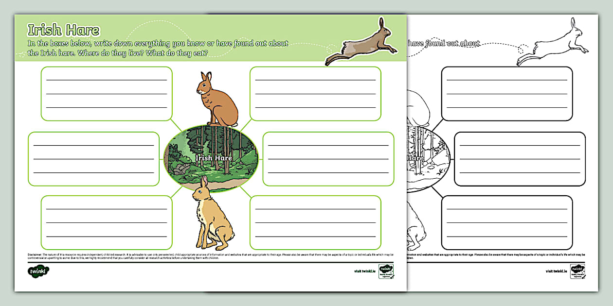 Irish Hare Mind Map (teacher made) - Twinkl