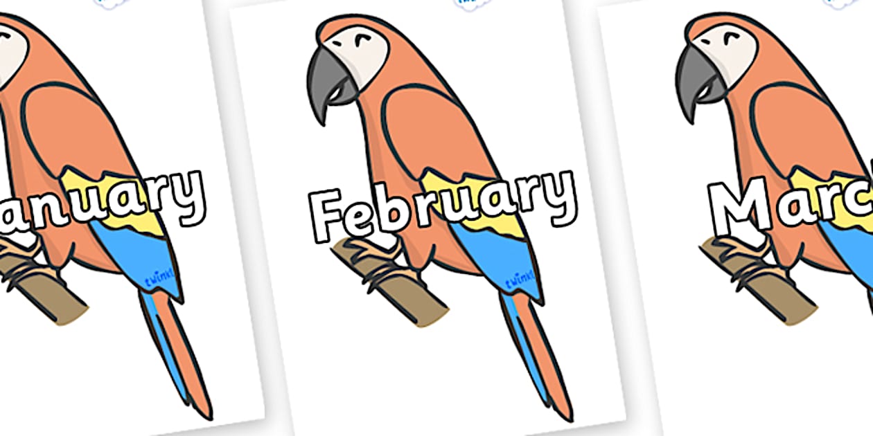 Months of the Year on Parrots (teacher made) - Twinkl