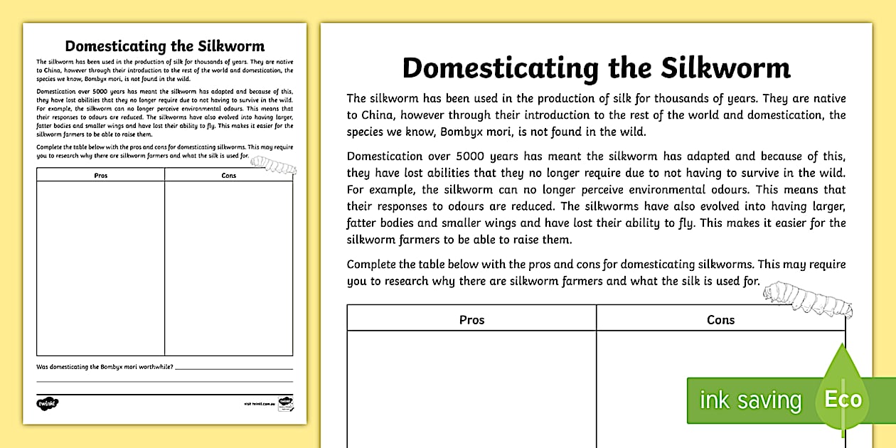 Cursive Domesticating the Silkworm Worksheet - Twinkl