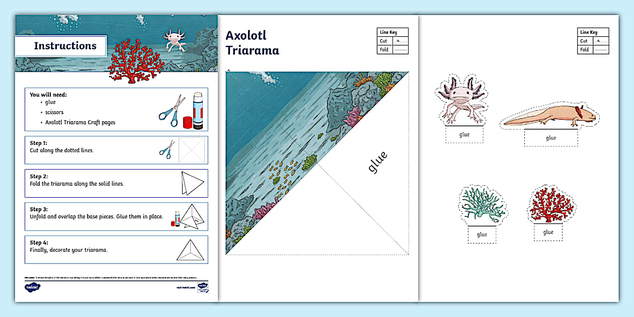 Axolotl Triarama Craft (teacher made) - Twinkl