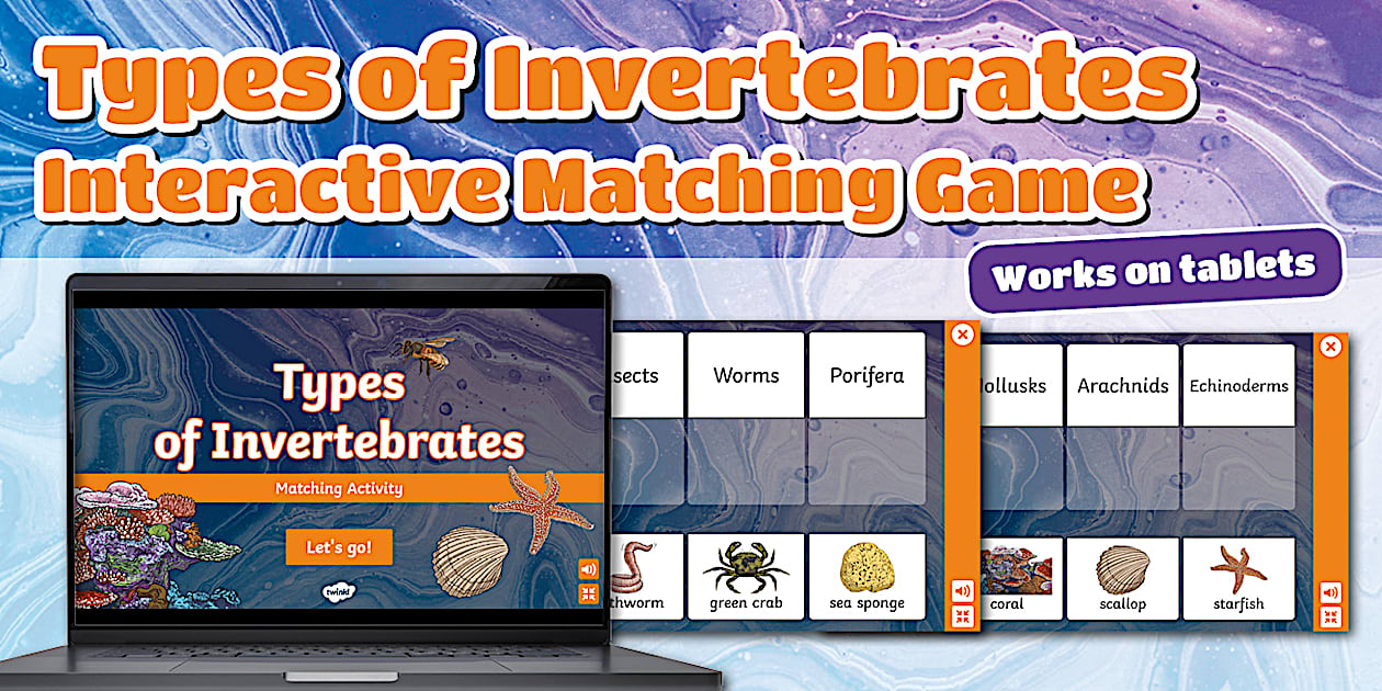 Types of Invertebrates Interactive Matching Game