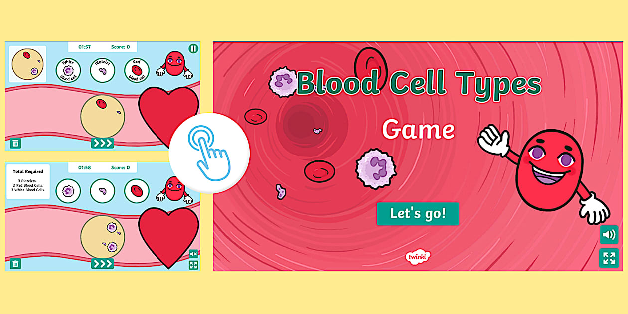 Y6 Types of Blood Cells Game (teacher made) - Twinkl