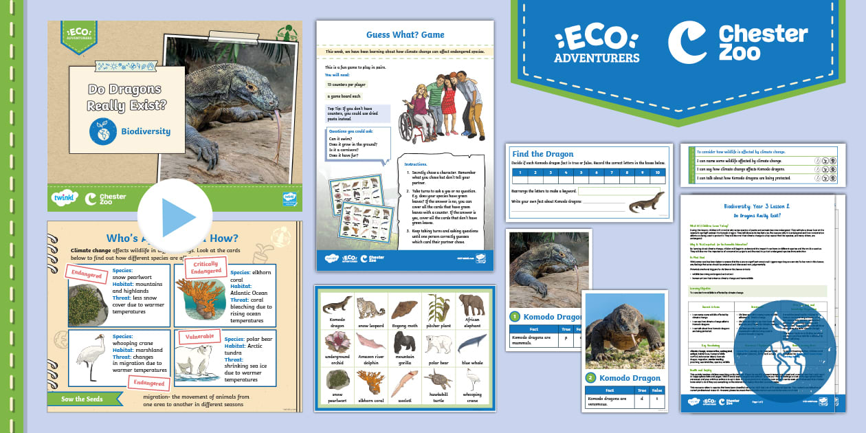 FREE! - Year 3 Biodiversity Lesson 2: Do Dragons Really Exist?