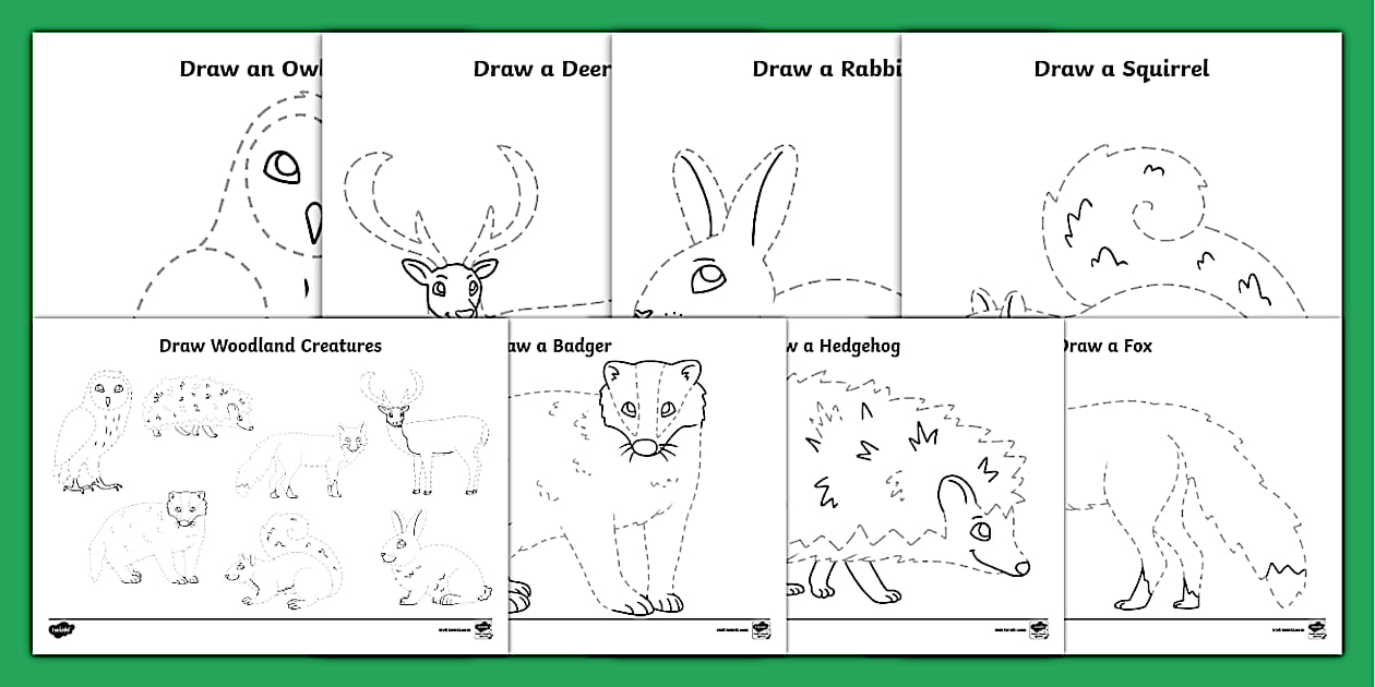 EYFS Draw a Woodland Creature Pencil Control Activity Pack