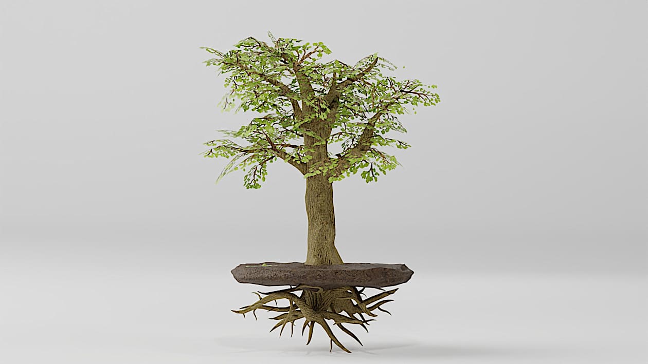 Oak Tree Augmented Reality (AR) 3D Model