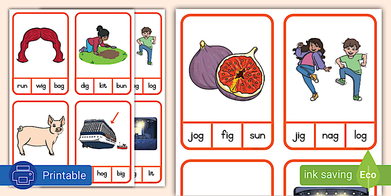 Grade 1 Phonics: -ig Sound Peg Card Activity (teacher made)