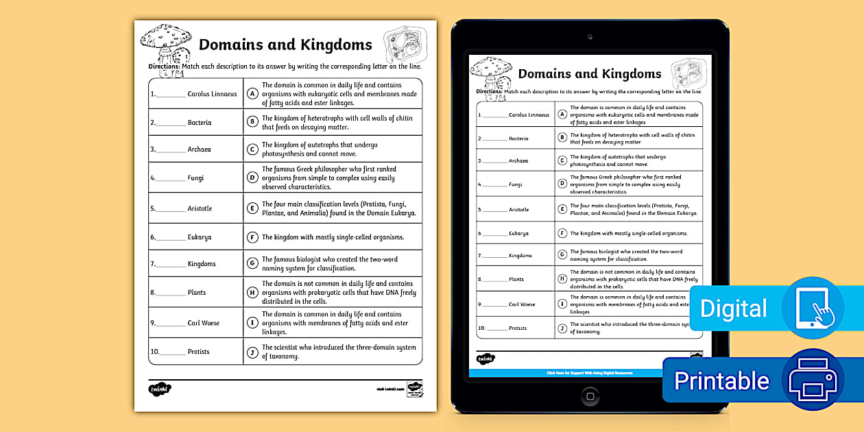 Sixth Grade Domains and Kingdoms Taxonomy Matching Worksheet