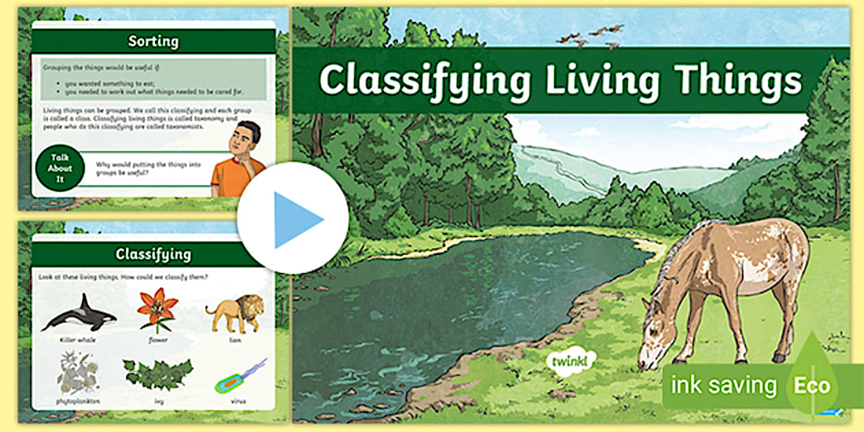 Classifying Living Things PowerPoint (teacher made) - Twinkl