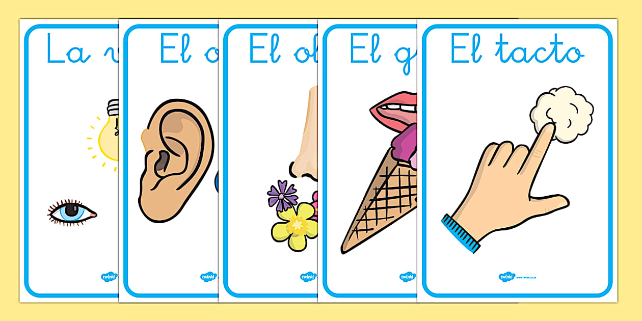 Los sentidos Poster DIN A4 (Teacher-Made) - Twinkl