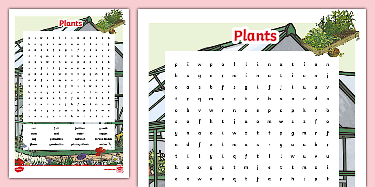Plants Word Search - Teaching Resource - KS2 (teacher made)