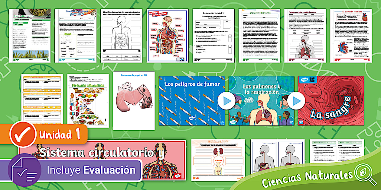 Pack | Unidad 1 | 8° | Nutrición | Salud| Biología