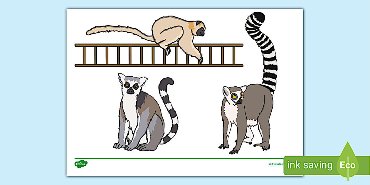 Lemur Stick Puppets (Teacher-Made) - Twinkl