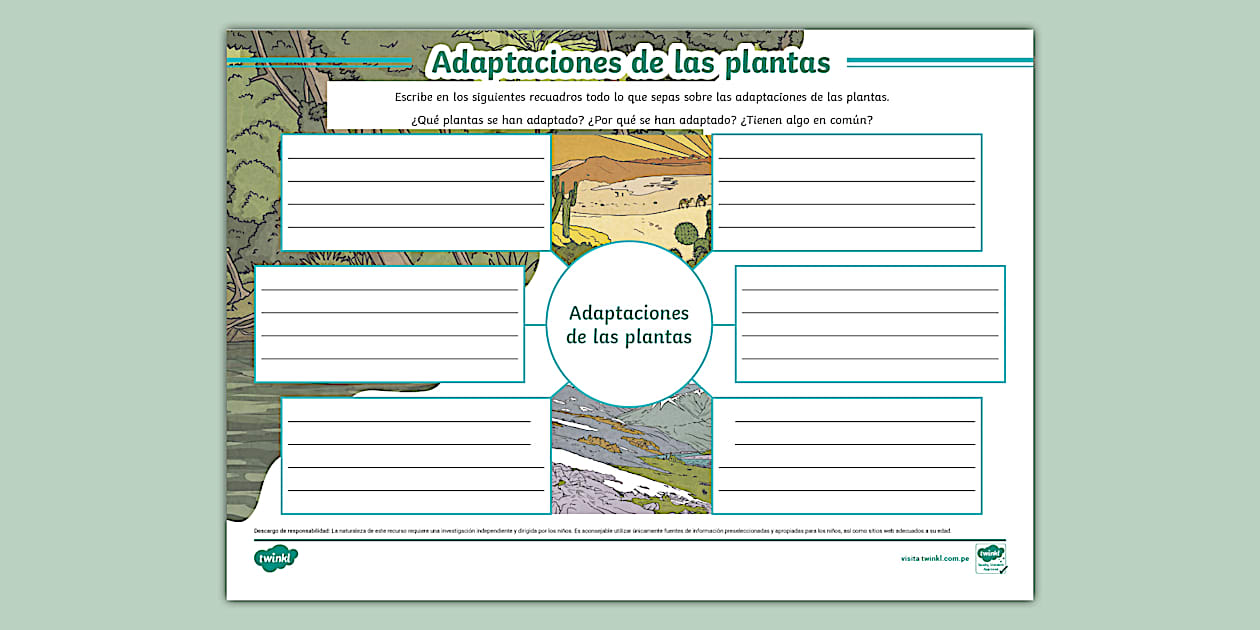 Mapa mental: Adaptación de las plantas | Twinkl - Twinkl