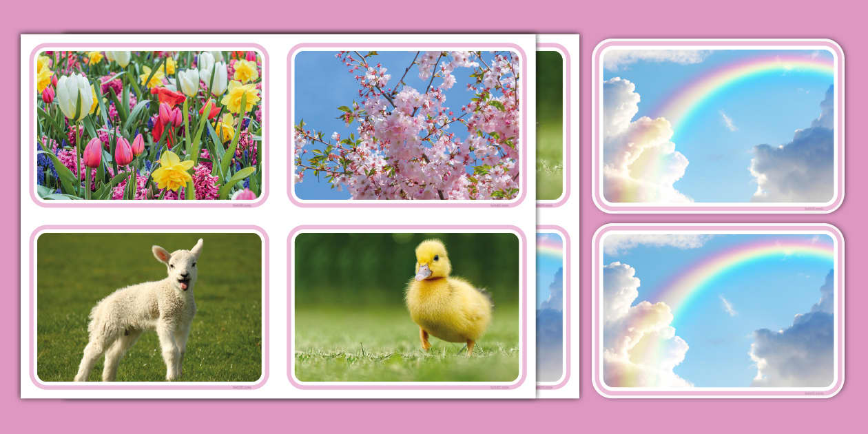 Spring Photo Matching Pairs Game | Twinkl (teacher made)