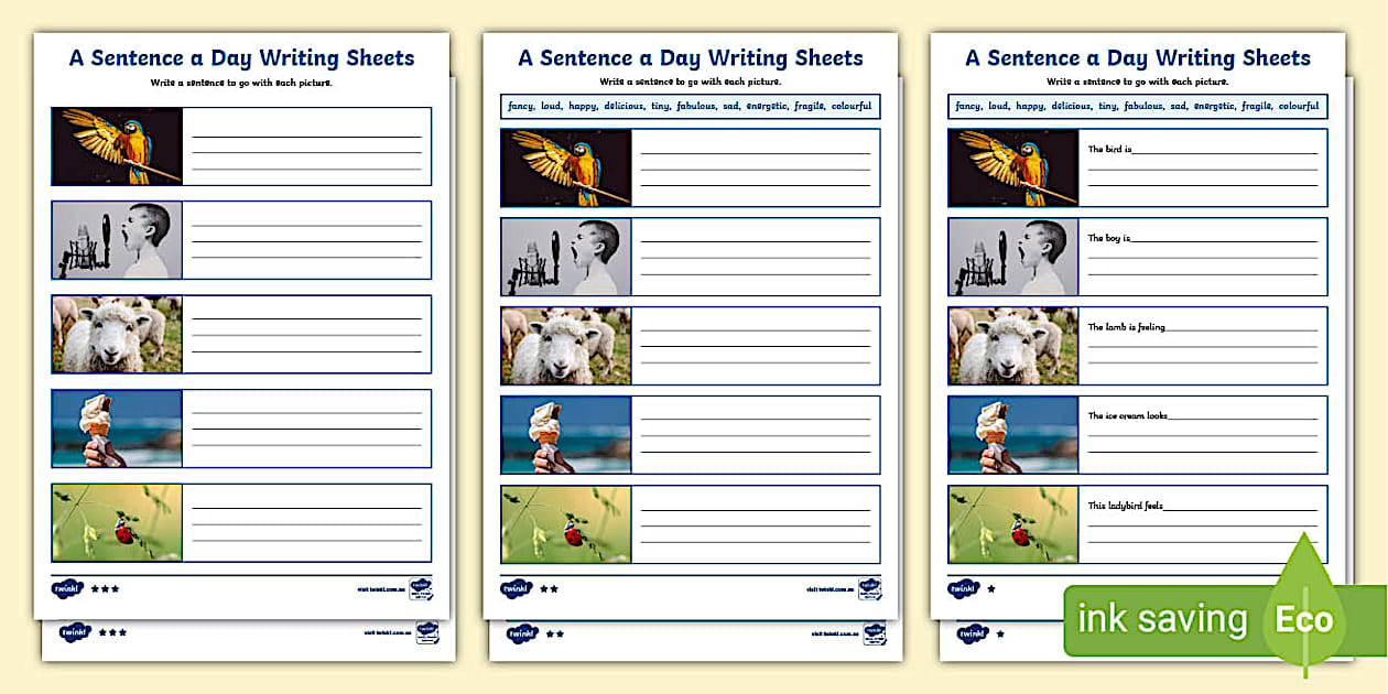 Daily Sentence Practice | Australian Primary Resources