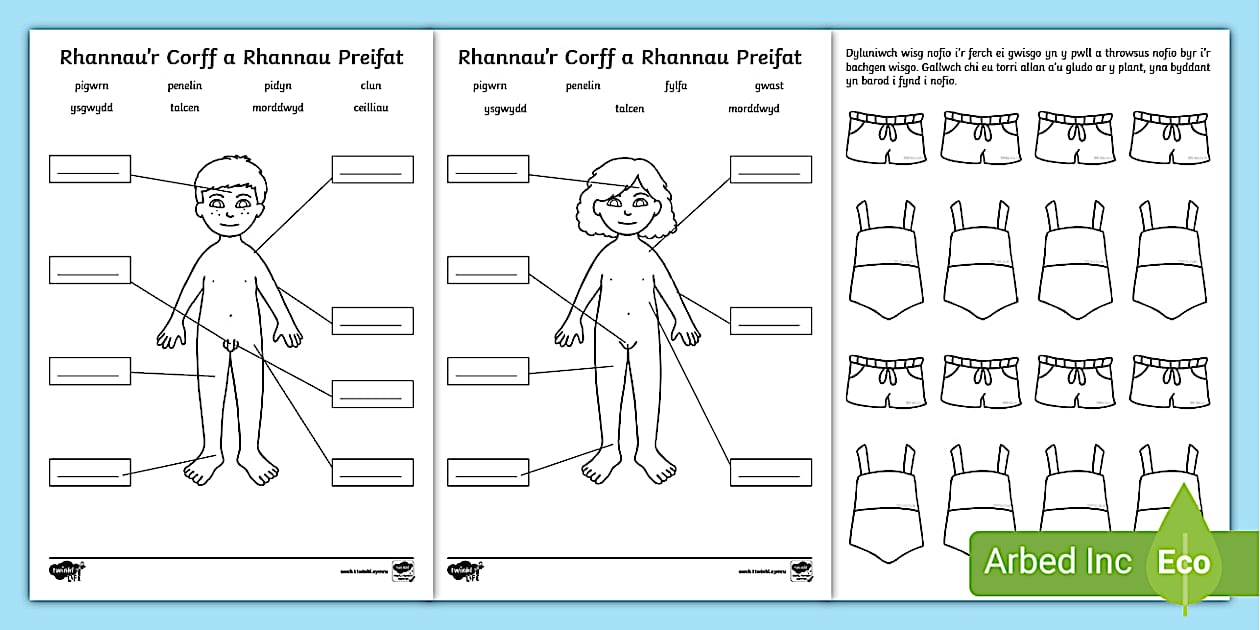 Taflen Waith Rhannau'r Corff a Rhannau Preifat - Twinkl