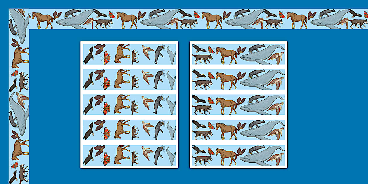 Common Ancestry/Comparative Anatomy Bulletin Board Borders