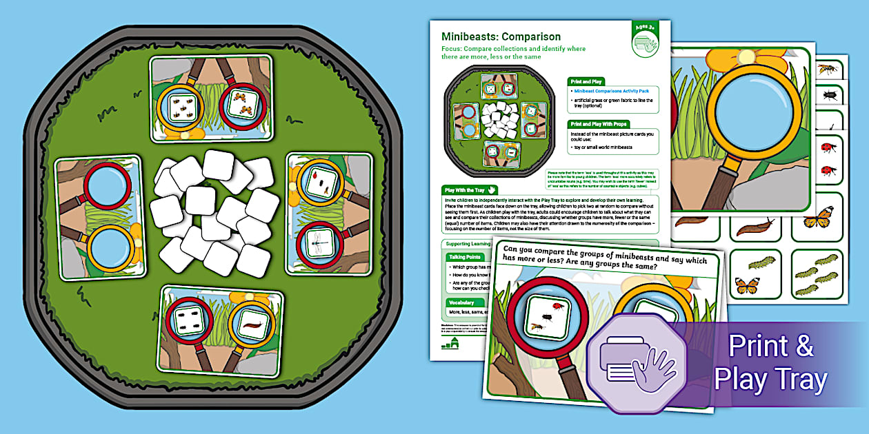 Minibeast Tuff Tray | More Than | Less Than | Same | EYFS
