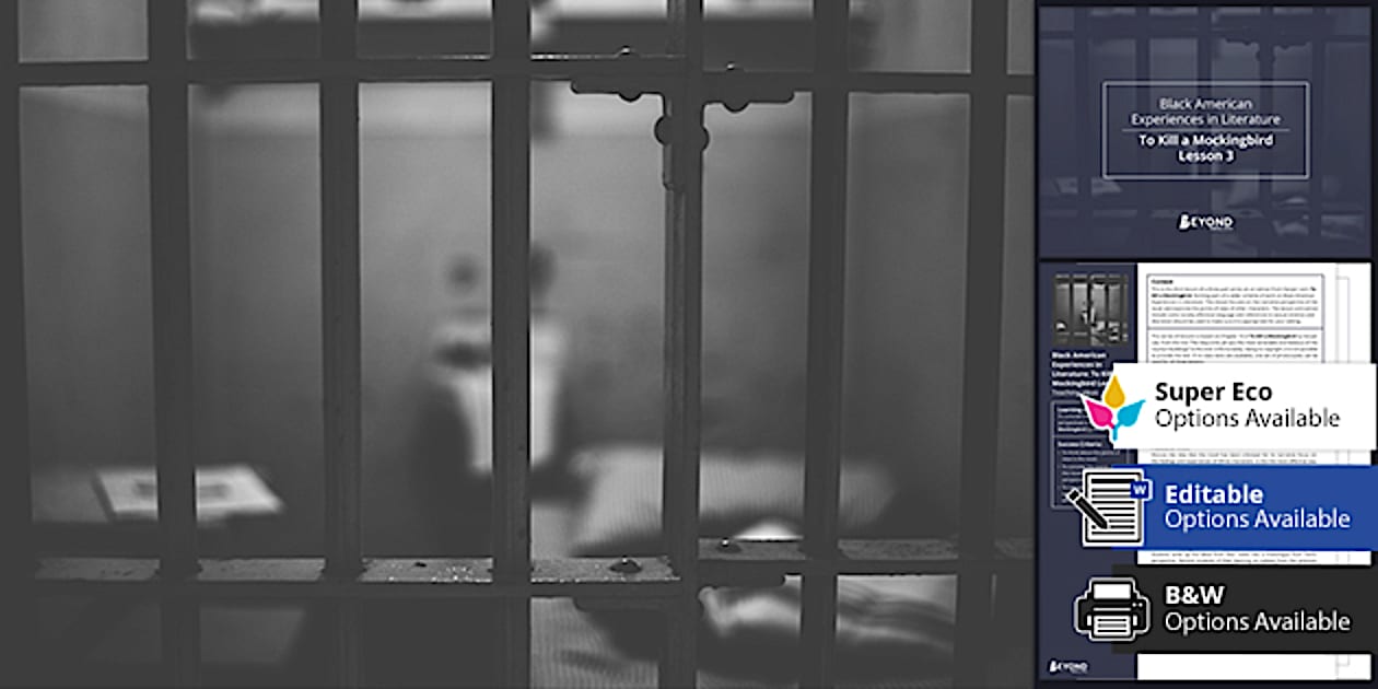 To Kill a Mockingbird Points of View | Black American Literature