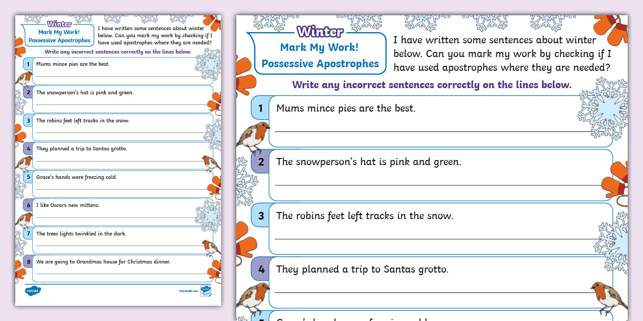 Winter-Themed Mark My Work! Possessive Apostrophes Activity