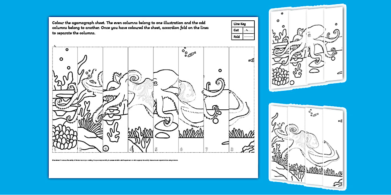Octopus Agamograph (teacher made) - Twinkl