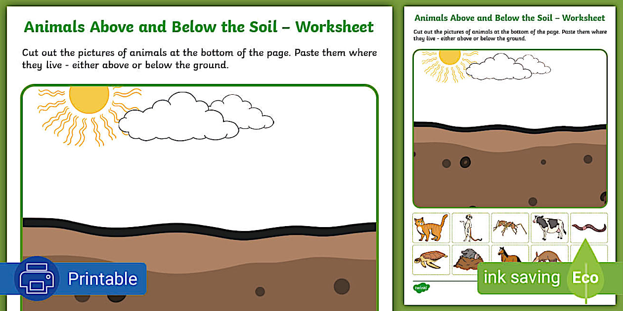 Grade 2 LS Term 3 Animals Above and Below the Soil - Worksheet (CAPS)