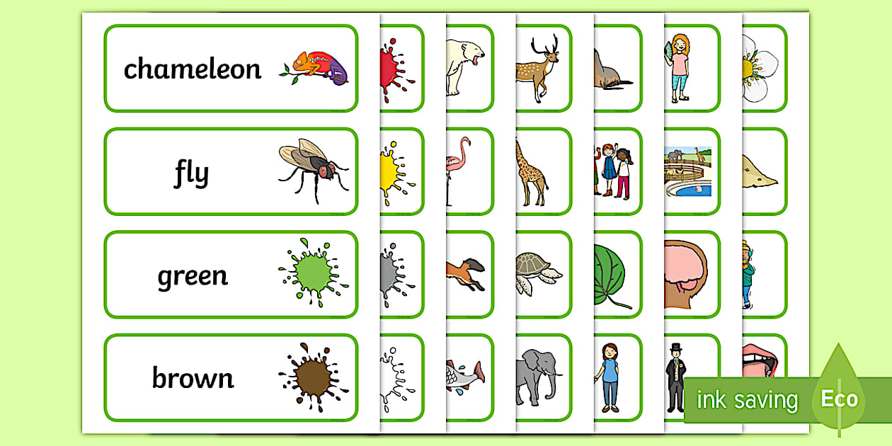 Chameleon Word Cards - Reception Spelling Words Cards