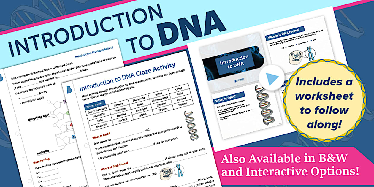 Introduction to DNA