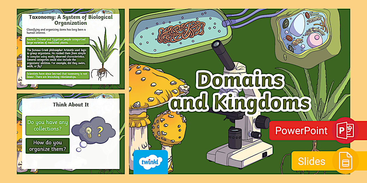 Sixth Grade Domains and Kingdoms Taxonomy PowerPoint