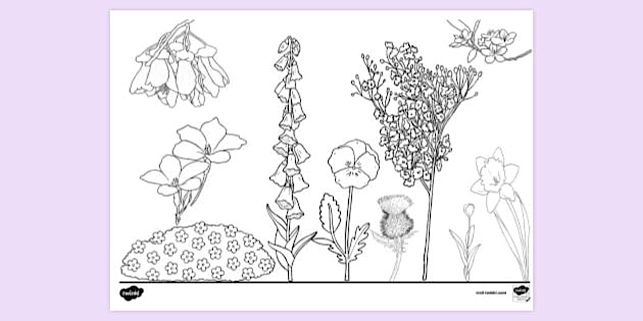 Page Full of Flowers to Colour (teacher made) - Twinkl