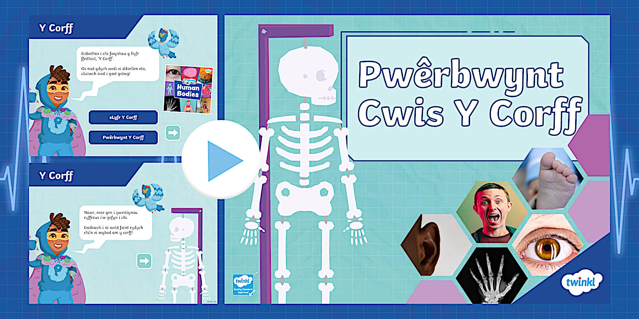 Y Corff: Pwêrbwynt Cwis (Teacher-Made) - Twinkl