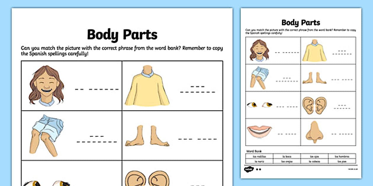 Spanish My Body Body Parts Worksheet (teacher made) - Twinkl